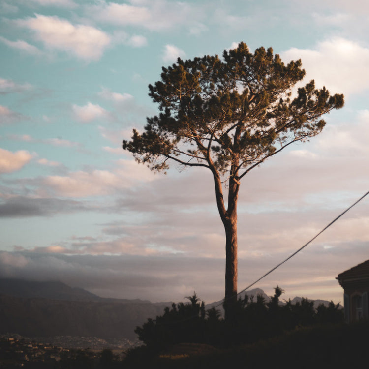 Find A Pain Clinic Near You | Our Nationwide Locations – PAIN